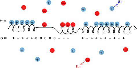 Figure 1 From Chiral Molecule Adsorption On Helical Polymers