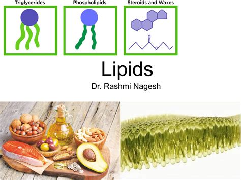 Biological Macromolecule Lipids Introduction Ppt