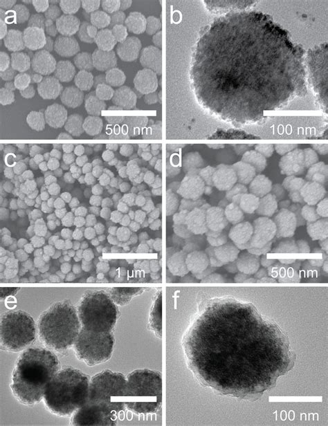 SEM A C And D And TEM B E And F Images Of Prepared Fe3O4 A And Download Scientific