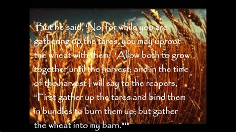 Daily Bread Matthew 1324 3036 43 Nasb Youtube