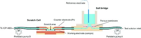Experimental Setup For The In Situ Scratch Aesec Test The Download Scientific Diagram