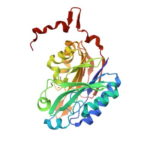 Rcsb Pdb 3klc Crystal Structure Of Hyperthermophilic Nitrilase