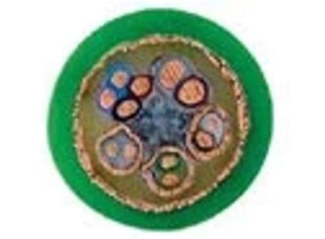 Sectional Images Through Chainflex® Cable