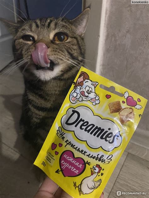 Корм для кошек Dreamies Лакомые подушечки с курицей - «За эти подушечки ...
