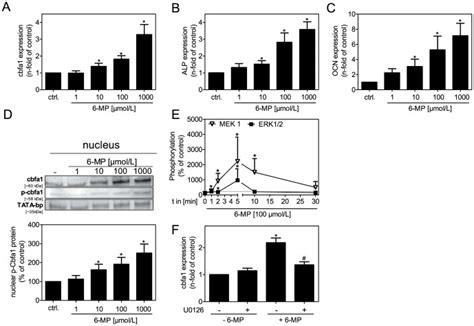Ac Vsmcs Were Stimulated With 6 Mp As Indicated And Mrna Expression