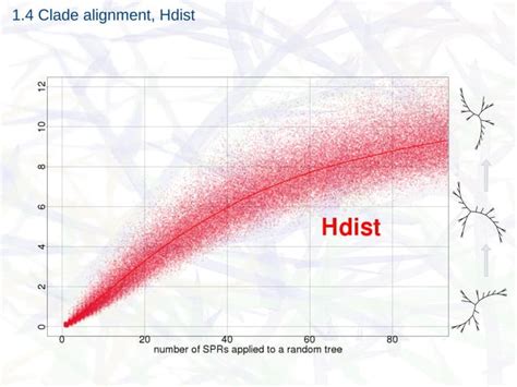 Comparing Phylogenetic Trees 20160616 Pdf Biological Sciences Science
