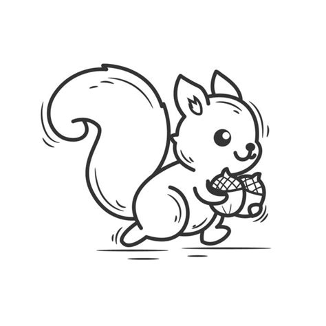 Squirrel Line Drawing Vector Art Icons And Graphics For Free Download