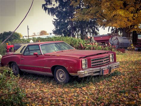 무료 이미지 국가 도로 가을 그림 물감 육상 차량 쿠페 자동차 외장 의자 가마 클래식 자동차 자동차 디자인 하드 톱 경치 자동차 바퀴 시스템 나무