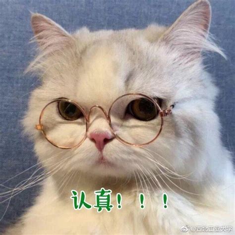 神经网络算法及matlab应用实例（一） 知乎