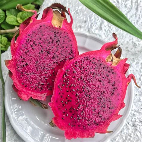 Dragon Fruit 2lbs Artofit