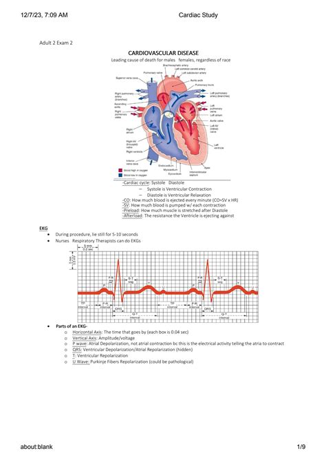 SOLUTION: Cardiac study - Studypool