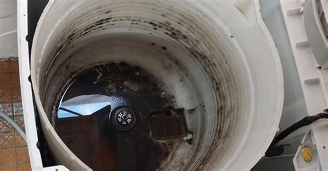 이사온집 세탁기가 더러워서 청소맡겼는데 깨끗하게 잘 해주셨어요 청소후 깨끗한거는 눈으로보느라 사진을 못찍었네요ㅠ고생하셨어요 숨고 숨은고수