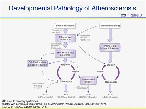 Pathogenesis Of Atherosclerosis Mmc1ppt