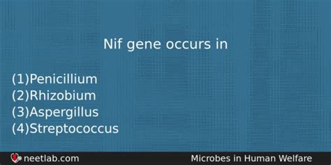 Nif Gene Occurs In Neetlab