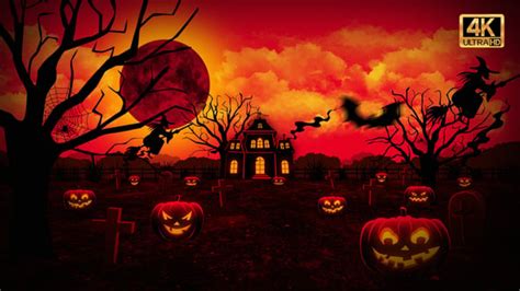 Spooky Halloween Night Animation With Haunted House And Flying Witch
