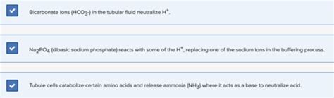 ch 24 assignment 2 flashcards quizlet