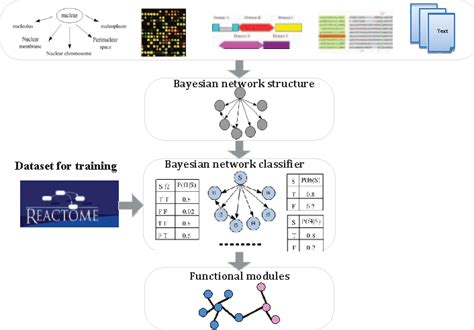 Figure 1 From Integration Of Multiple Data Sources For Identifying Functional Modules Using