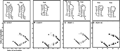 The Predicted Tertiary Interactions And The Density Plots For The