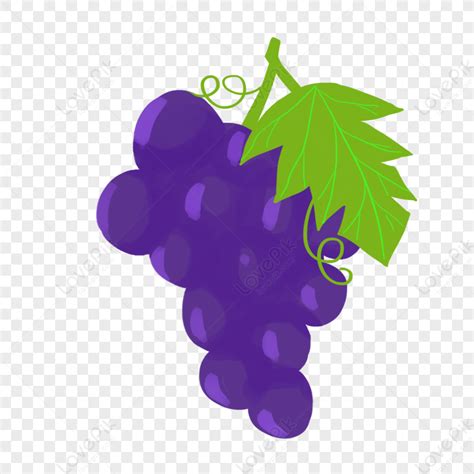 자주색 포도 Png 일러스트 무료 다운로드 Lovepik