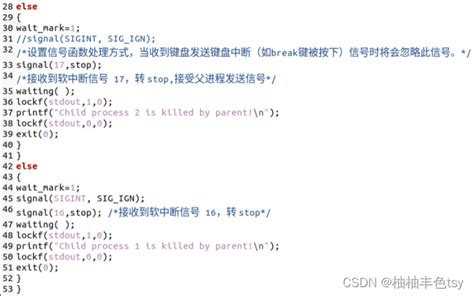 操作系统实验——进程通信（信号机制）实验实验五 软中断通信 实验目的 1、了解什么是信号 2、熟悉linux系统中进程之间软中 Csdn博客