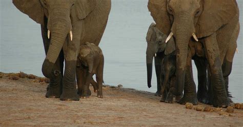 Minervadb Sur Linkedin Postgresql 16 Sync Replication Guide