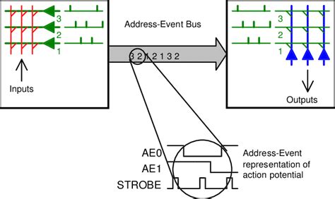 5 The Address Event Representation Self Timed Neurons On The Sending Download Scientific