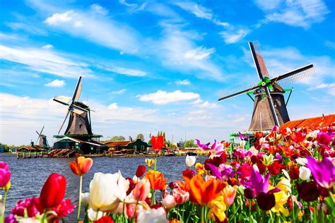 Latitude Run Glinski Dutch Spring Landscape Wrapped Canvas Photograph