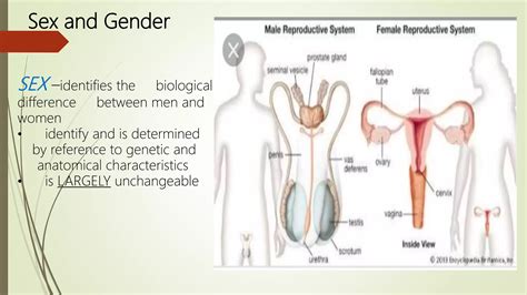 Gender And Developmentpptx
