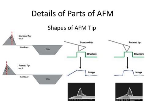 Atomic Force Microscope Fundamental Principles