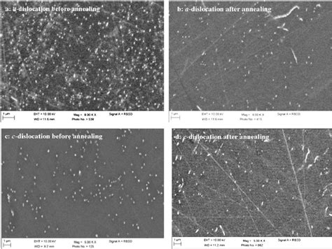 6 12 Bse Images Showing The Dislocation Structures Before And After
