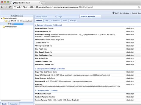 Wstg V4 2 Owasp Foundation
