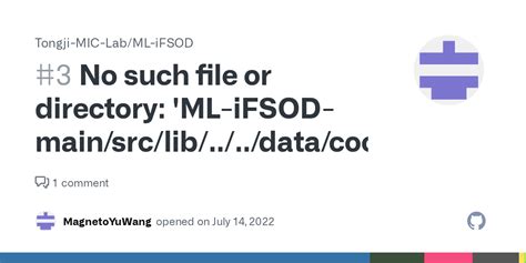 No Such File Or Directory ML IFSOD Main Src Lib Data Coco One Shot Samples Json Issue