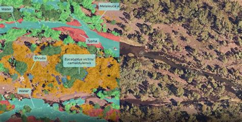 Remote Sensing And Spatial Science Spectrum Ecology And Spatial