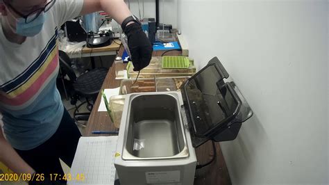 Tail Flick Latency Training Instance Segmentation Dataset By Tail Flick