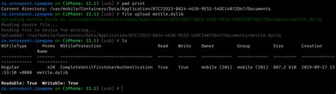 Sensepost Mettle Your Ios With Frida