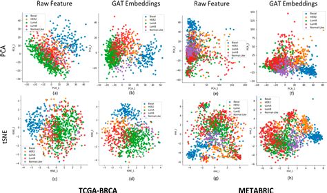 Figure 2 From Mogat A Multi Omics Integration Framework Using Graph