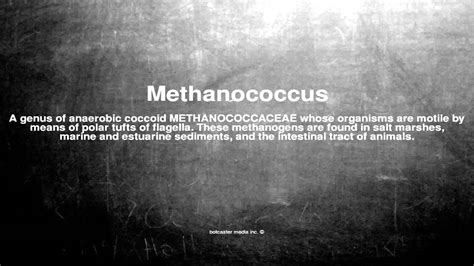 Medical Vocabulary What Does Methanococcus Mean Youtube