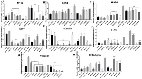 Relative Mrna Expression From Nf κb A Faad B Apaf 1 C Mdr1