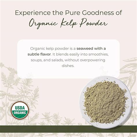 Kelp Seaweed Benefits
