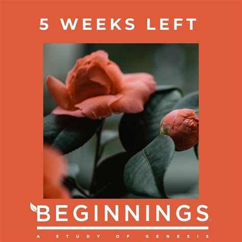 The Countdown Has Begun Our First Class Is Tuesday September 15 And