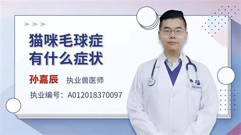 猫咪视频大全 猫咪医疗健康视频 猫咪养护训练视频 蘑菇宠医