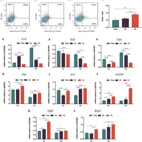 Flow Cytometry Analysis Of Cd86 M1 Marker And Cd206 M2 Marker