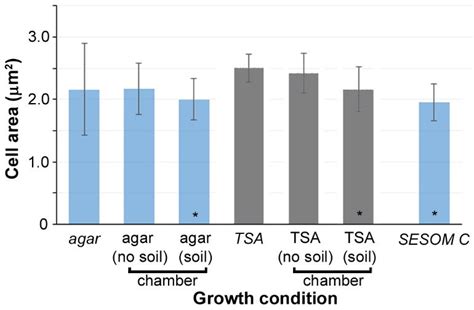The Mean Cell Size For Yersinia Pestis Grown Under Different
