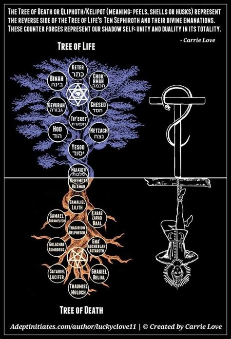 A Mythological Mystical Explanation Of The Tree Of Life Vs Tree Of