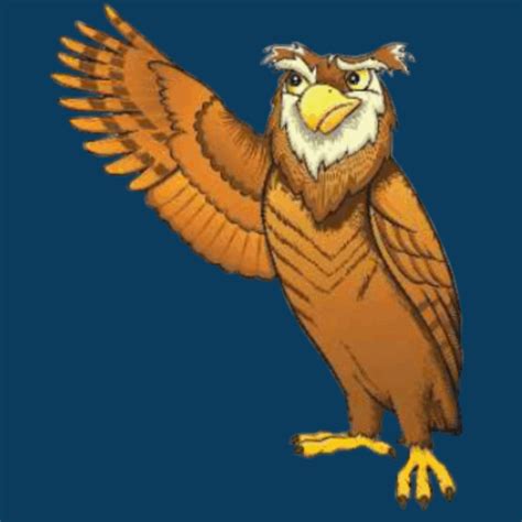 Disc Birds The Official Disc Profile 917 463 0089