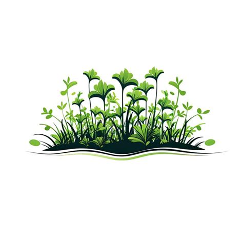 Premium Photo Microgreens On The White Background