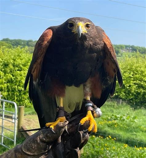 How To Create Purposeful Intention Setting Dr Derek Hrabovsky Posted