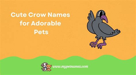 Crow Names
