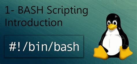 BASH Scripting For Beginners Introduction LinuxTechLab
