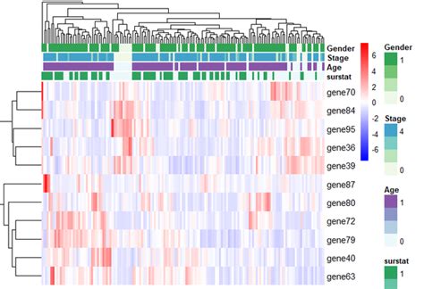 R语言pheatmap绘制基因表达热图 知乎